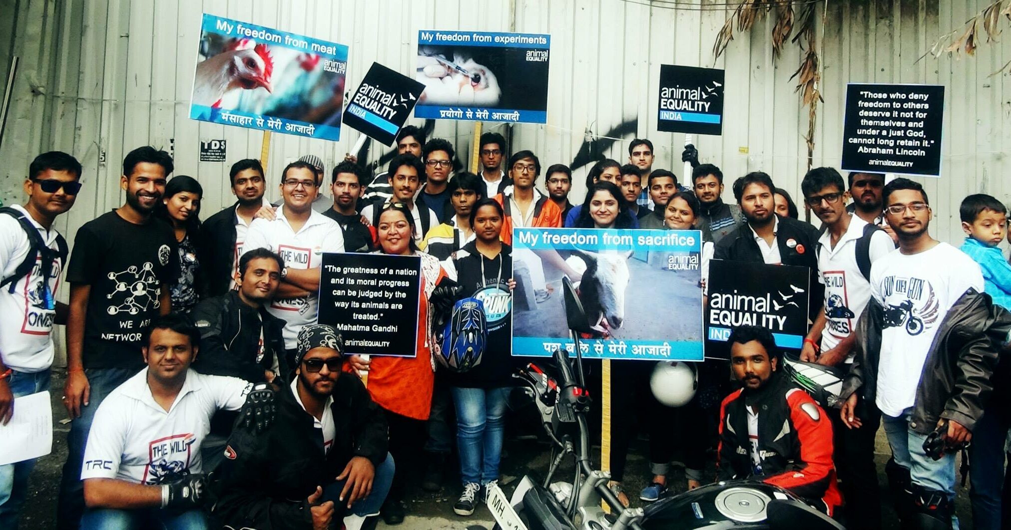 Protecting Animals Through Education: Animal Equality Blog | Animal ...