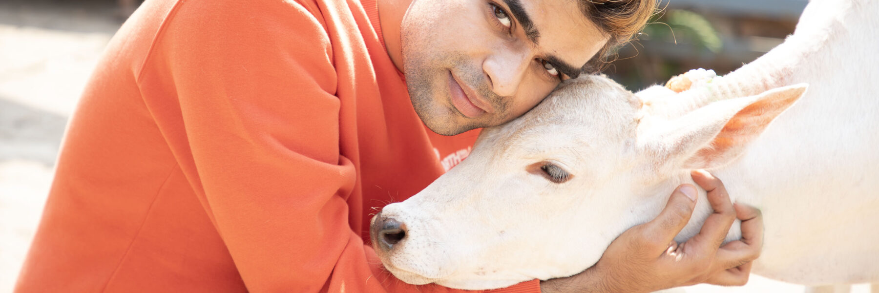 Let’s Celebrate Be Kind to Animals Month | Animal Equality India